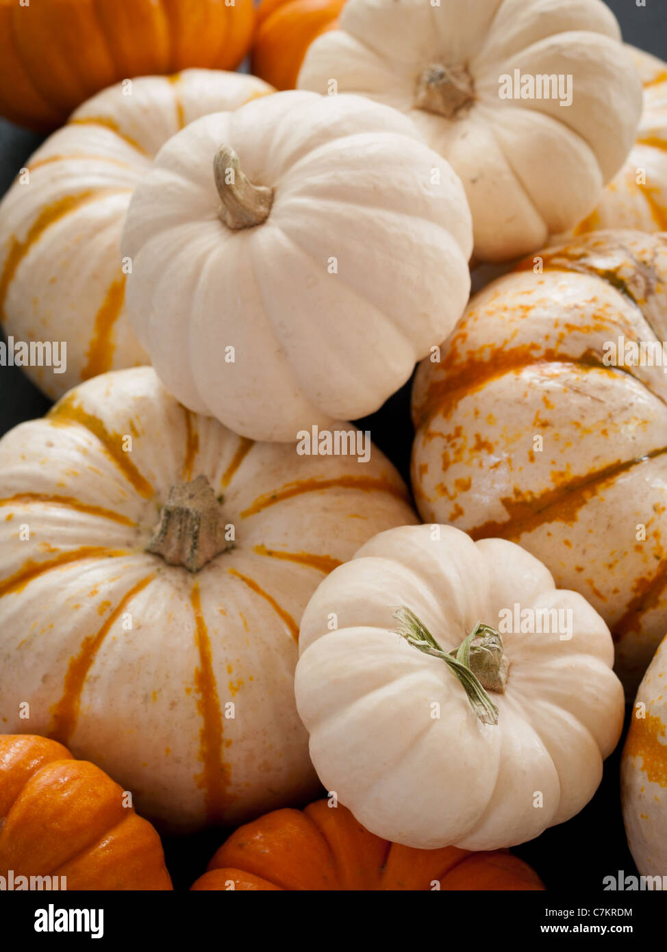 Orange and white mini pumpkins hi-res stock photography and images - Alamy