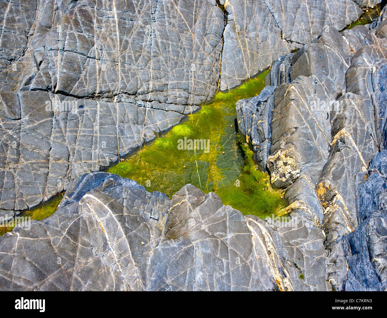 Veined rock hi-res stock photography and images - Alamy