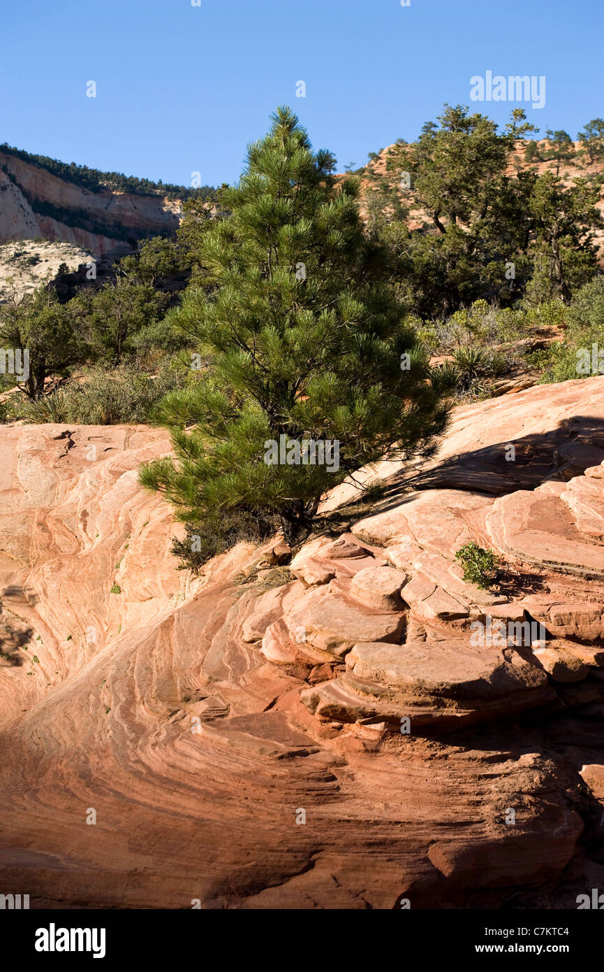 Rock stratification hi-res stock photography and images - Alamy