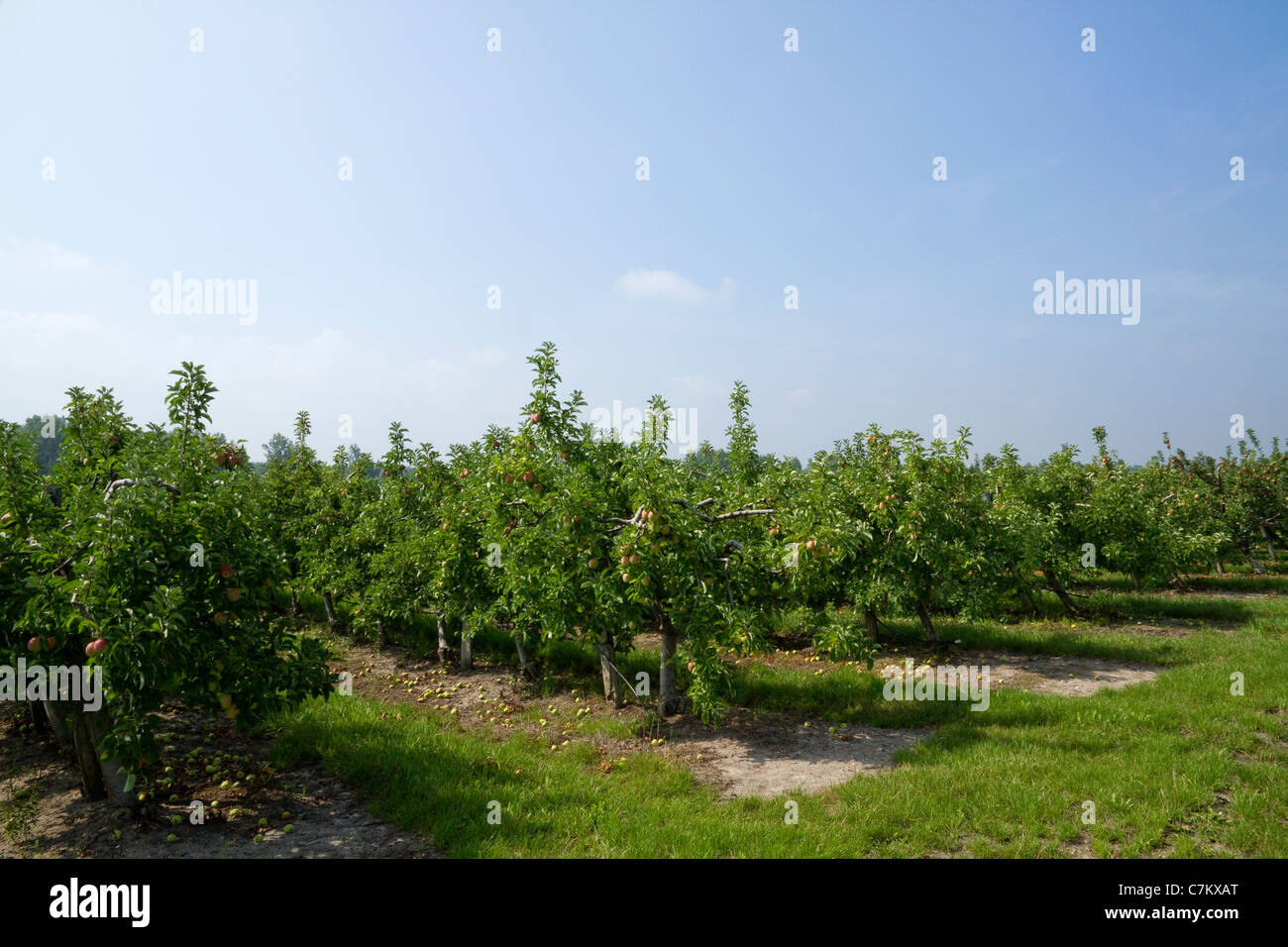 Apple farm france hi-res stock photography and images - Alamy