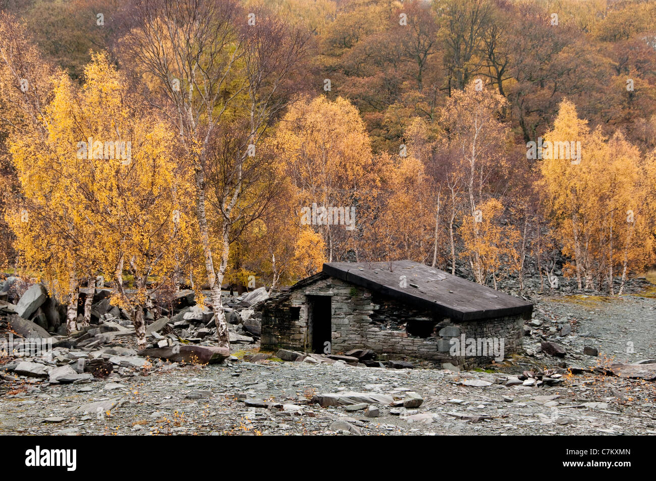 Abandoned hut hi-res stock photography and images - Alamy