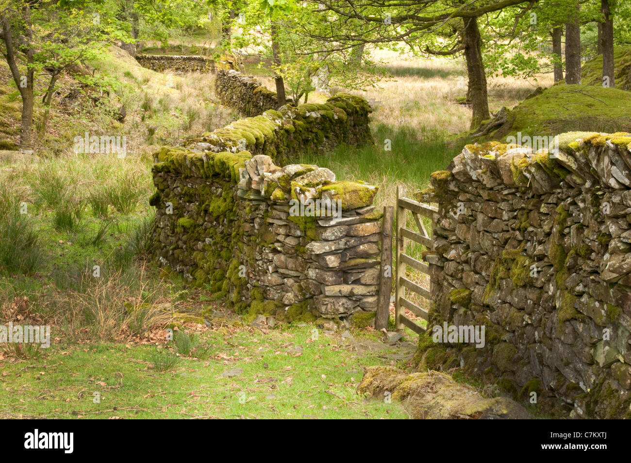 Dry Stone Wall and gate in Lake District Stock Photo - Alamy