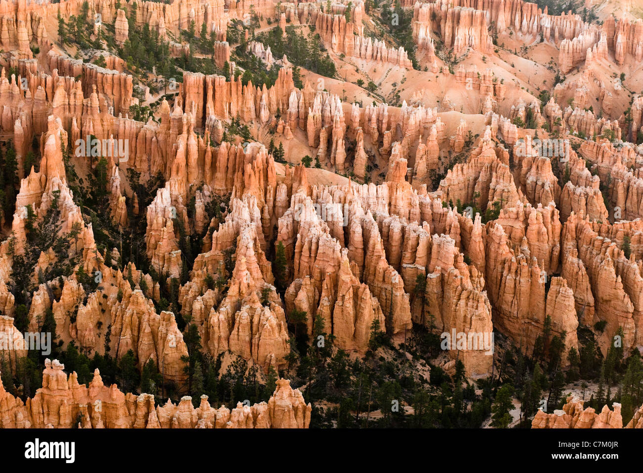 Bryce Amphitheater in Bryce Canyon National Park Utah USA Stock Photo ...