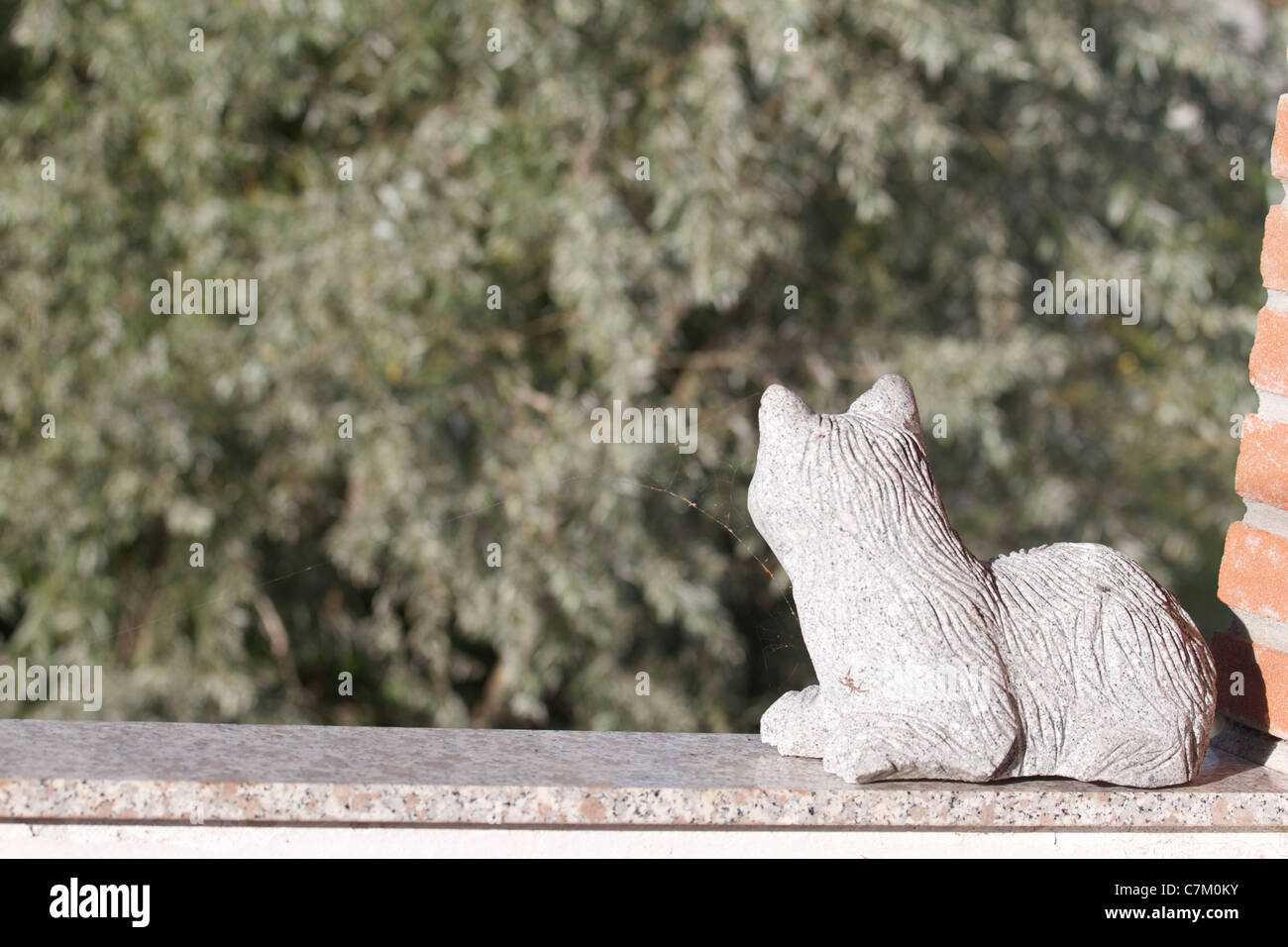 Stone feline hi-res stock photography and images - Alamy
