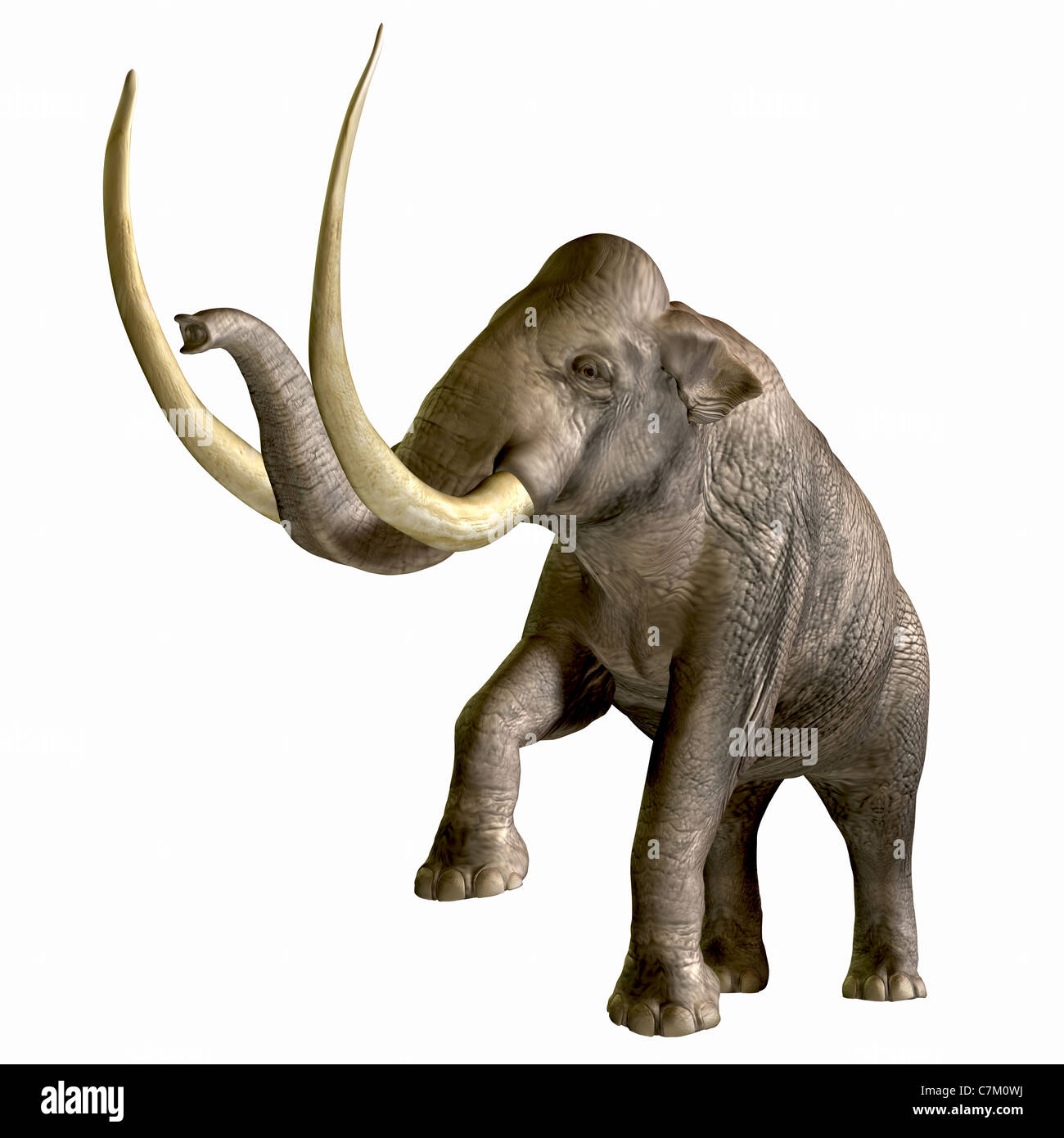 Pleistocene Megafauna Direwolves