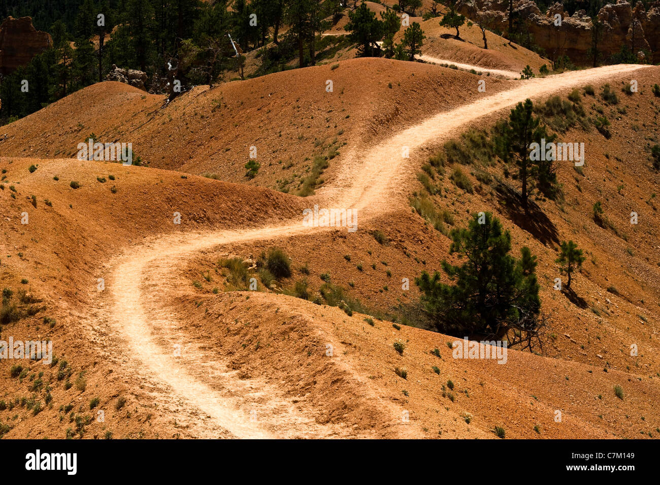 Path in Bryce Canyon National Park Utah USA Stock Photo - Alamy
