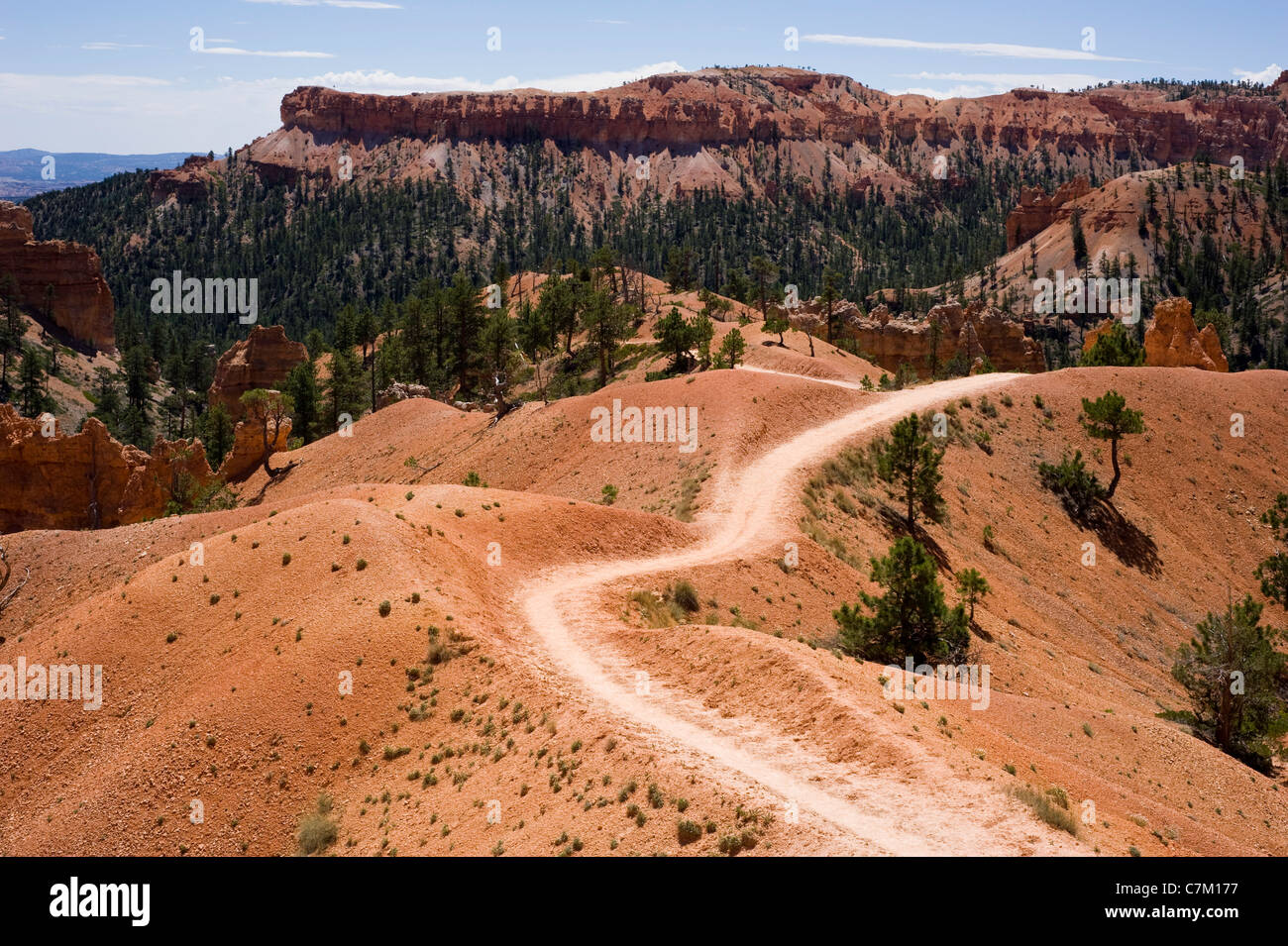 A path in Bryce canyon National Park Utah USA Stock Photo - Alamy