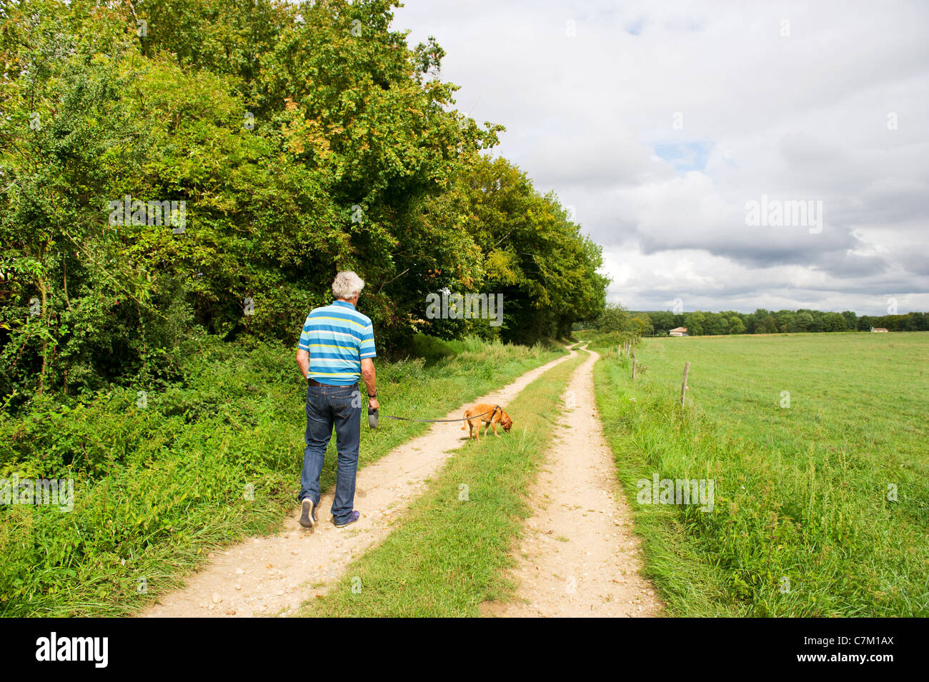 Elderly man is walking his dog in French nature Stock Photo - Alamy