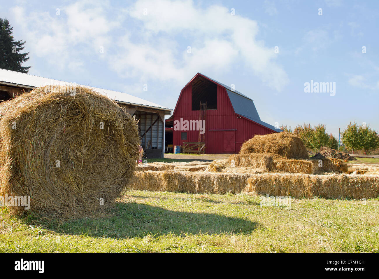 Roll of Hay by the Red Barn with Blue Sky Stock Photo - Alamy