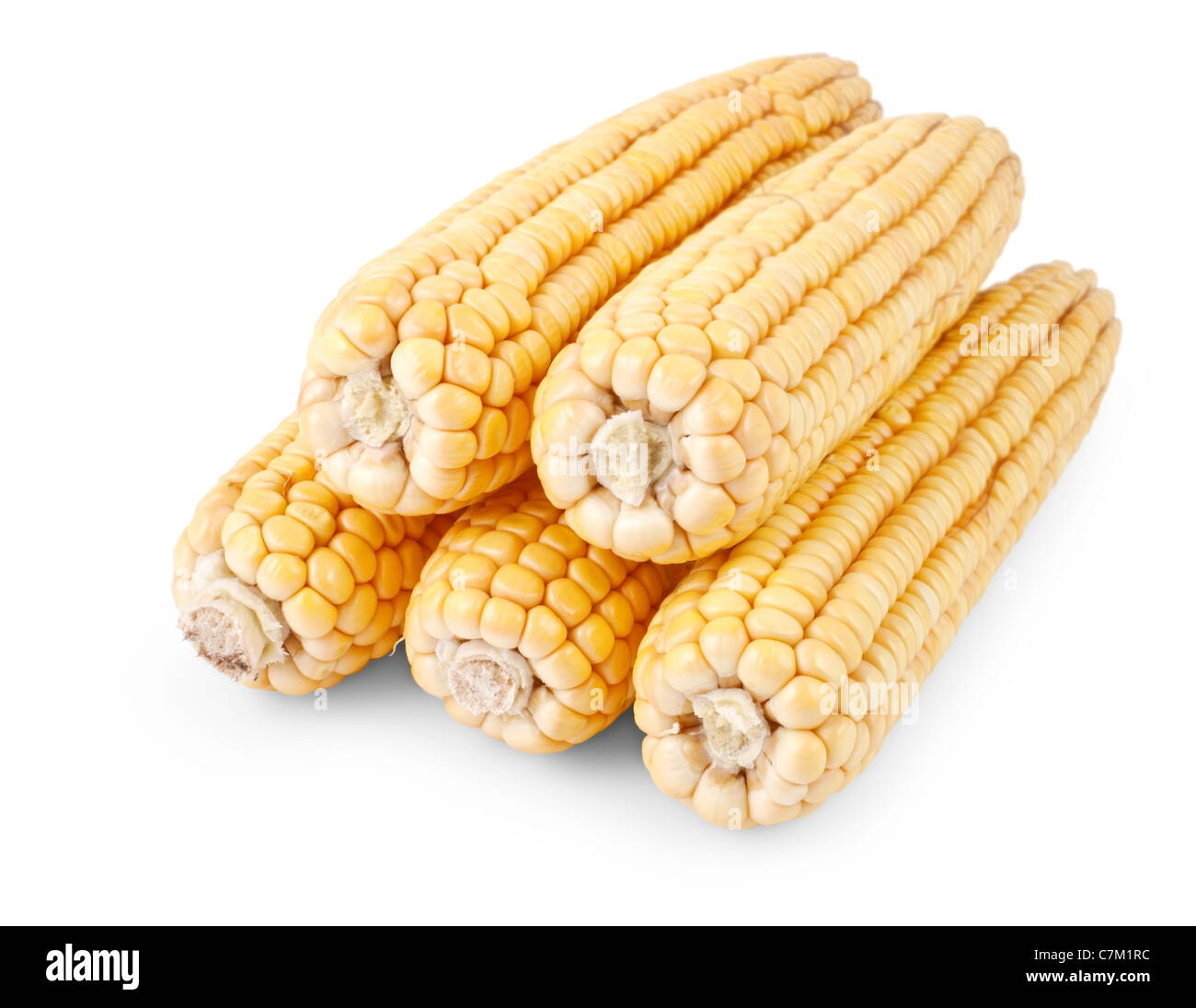 Fresh raw corn isolated on white background Stock Photo - Alamy