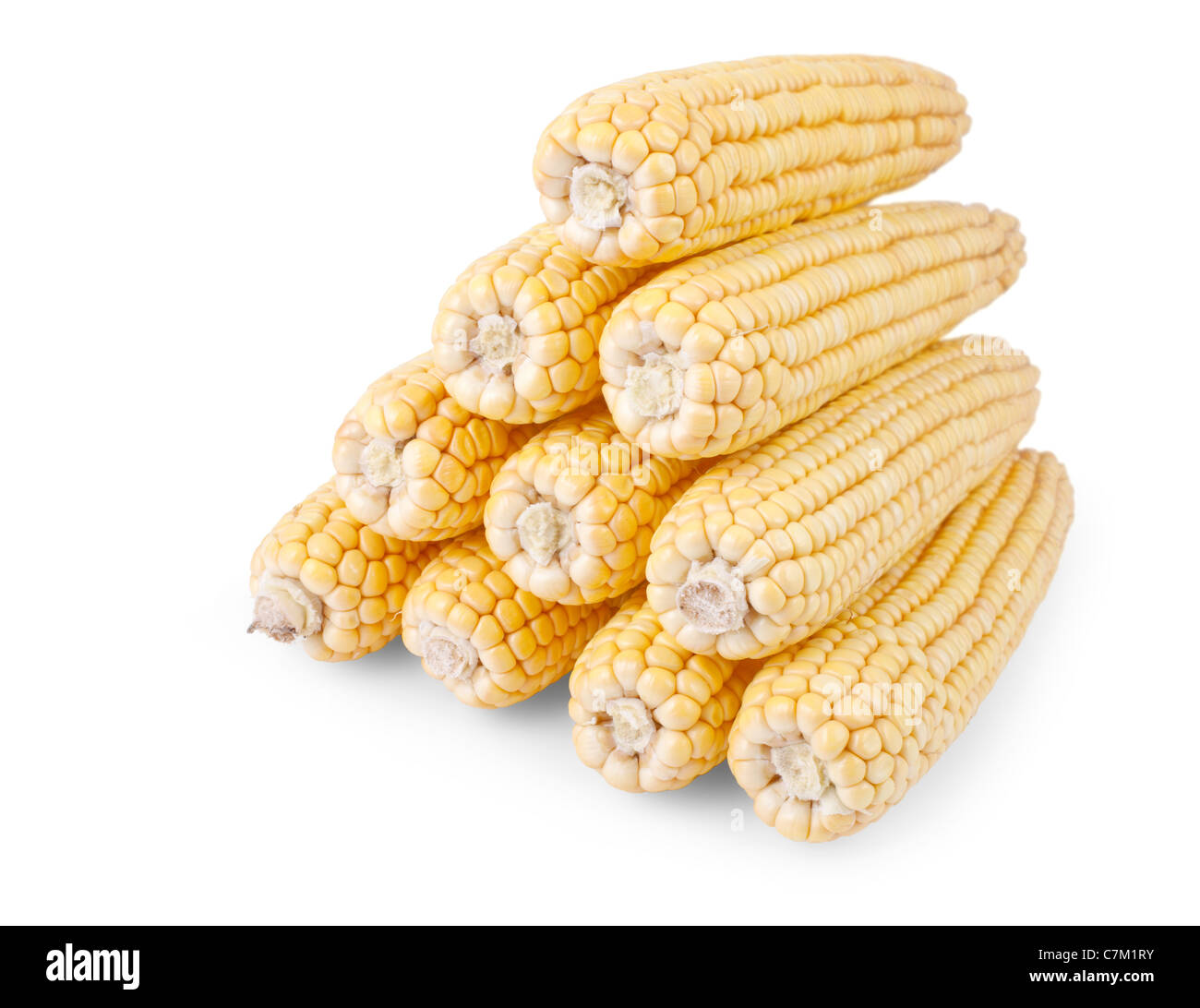Fresh raw corn isolated on white background Stock Photo - Alamy