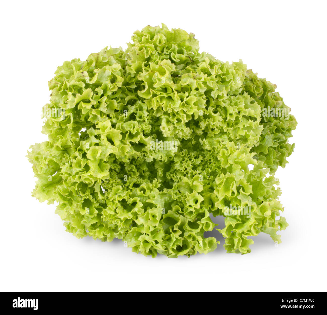 Lettuce leaves hi-res stock photography and images - Alamy