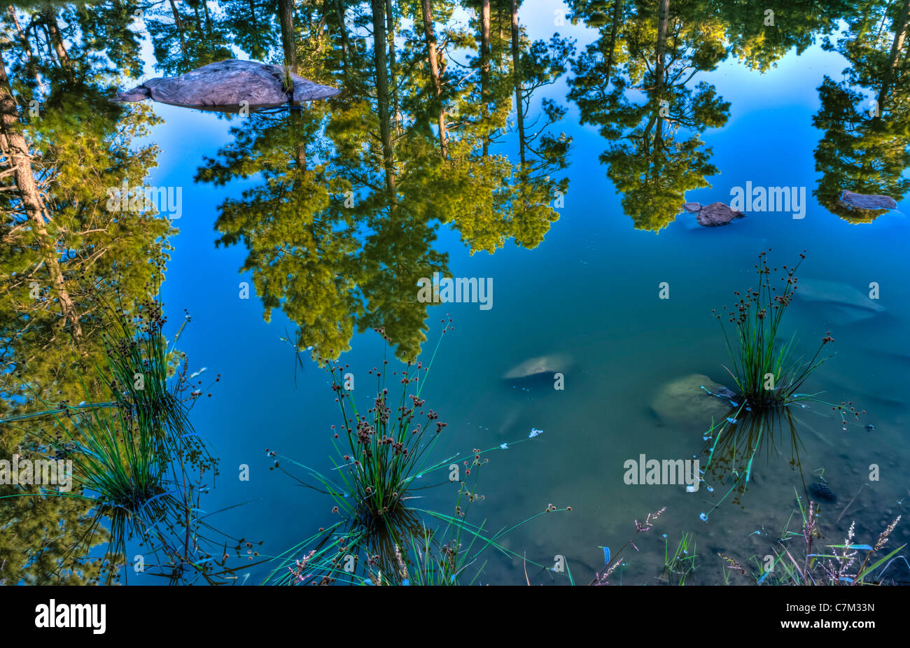 This small pond is on the Mogollon Rim near Forest Lakes. When I ...