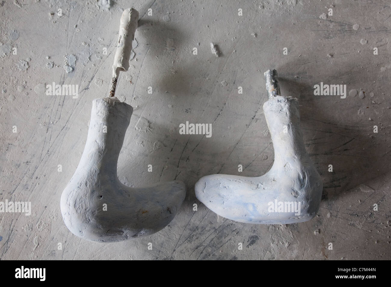 Disability action network hi-res stock photography and images - Alamy