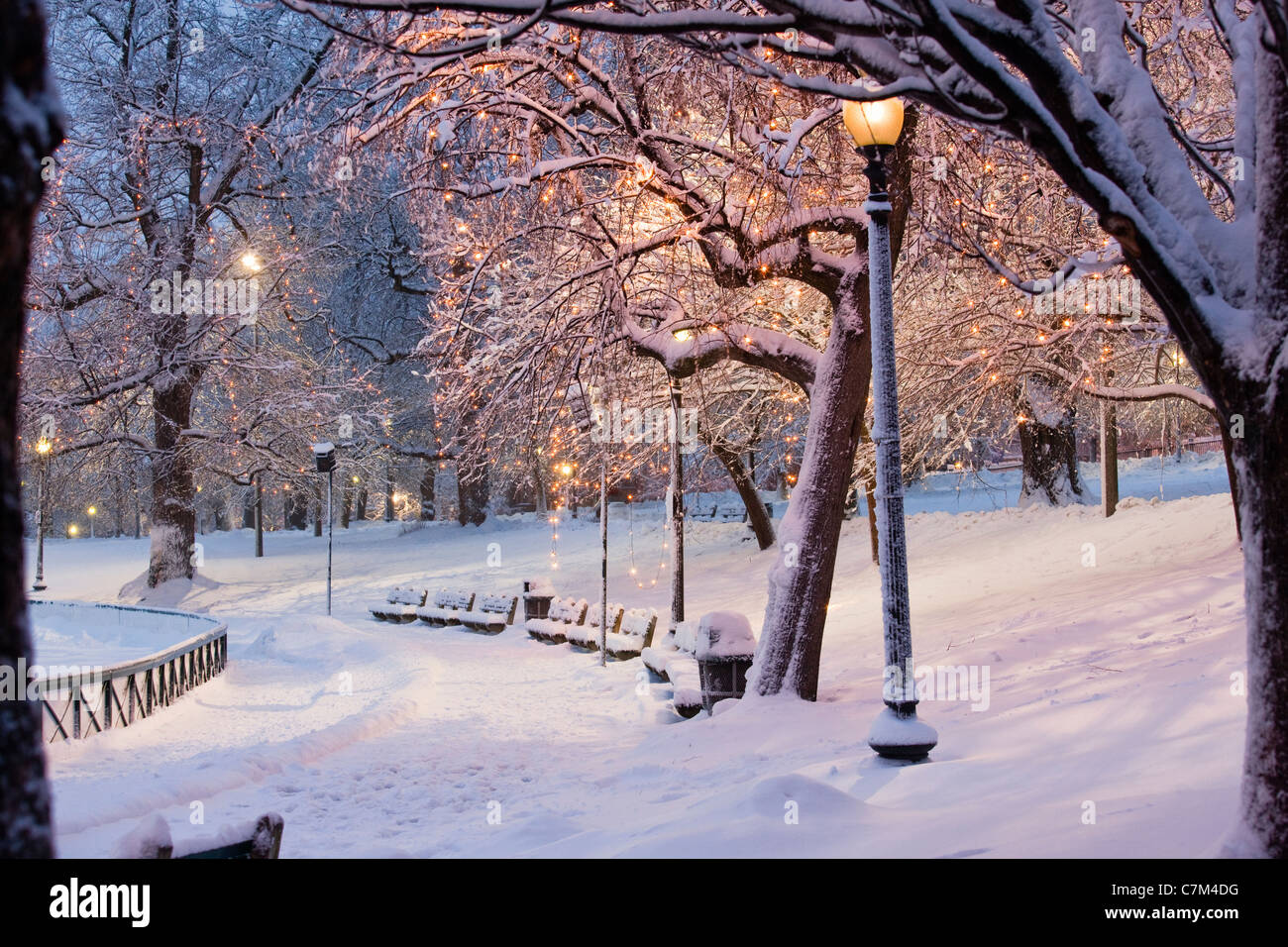 Snow covered trees with lampposts lit up in a public park, Boston ...