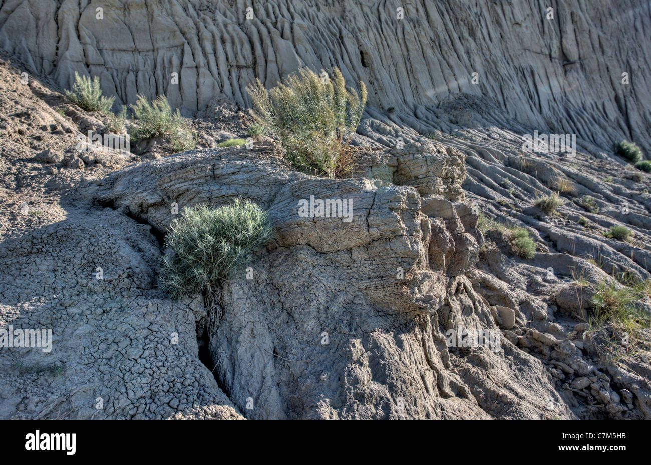 Big muddy badlands hoodoo hi-res stock photography and images - Alamy