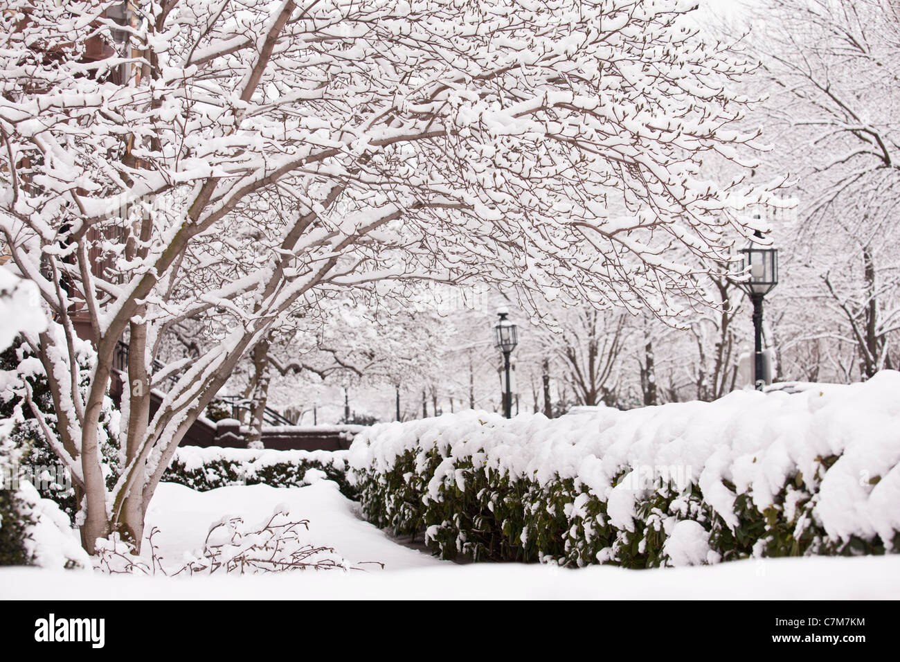 Beacon Street after winter storm, Boston, Massachusetts, USA Stock ...