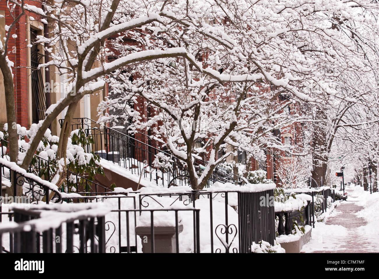 Boston, winter, commonwealth avenue hi-res stock photography and images ...