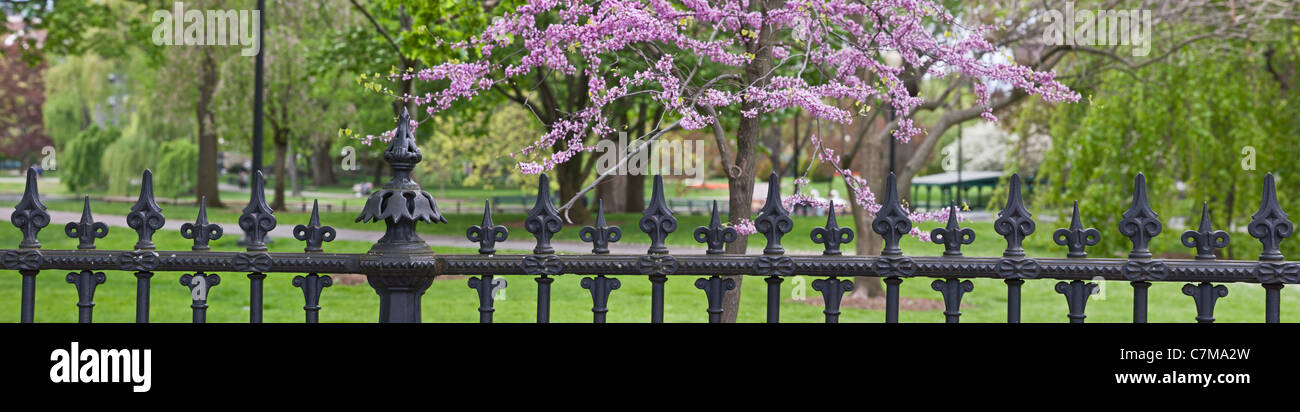 Wrought iron fence at Boston Public Garden, Boston, Massachusetts, USA ...