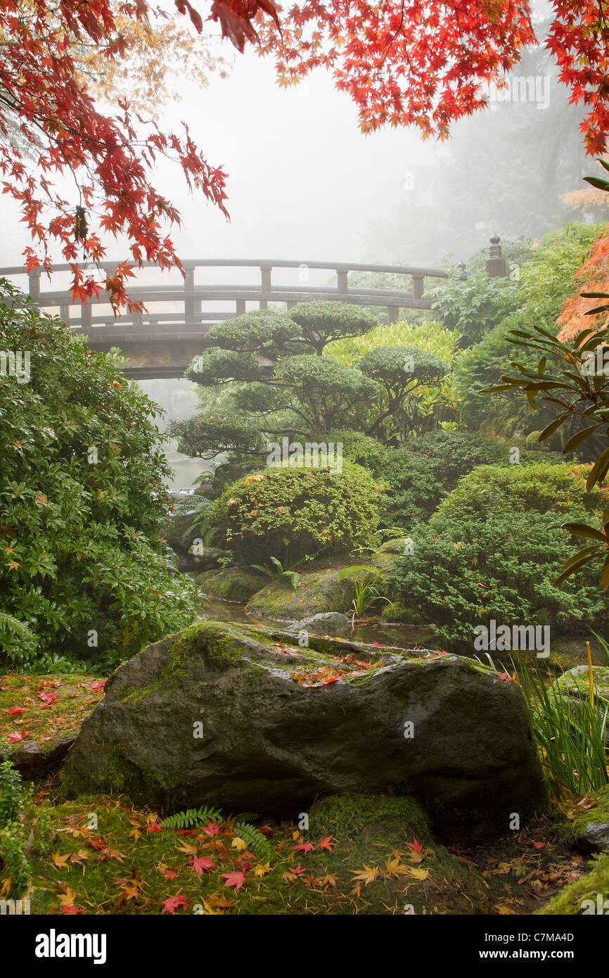 Rock and Bridge under the Maple Tree at Japanese Garden Stock Photo - Alamy
