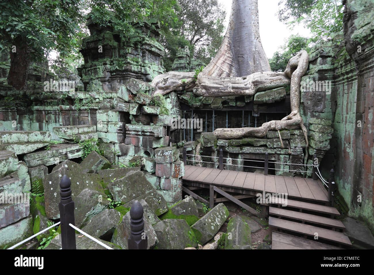Ta Prohm temple, Angkor, Cambodia Stock Photo - Alamy
