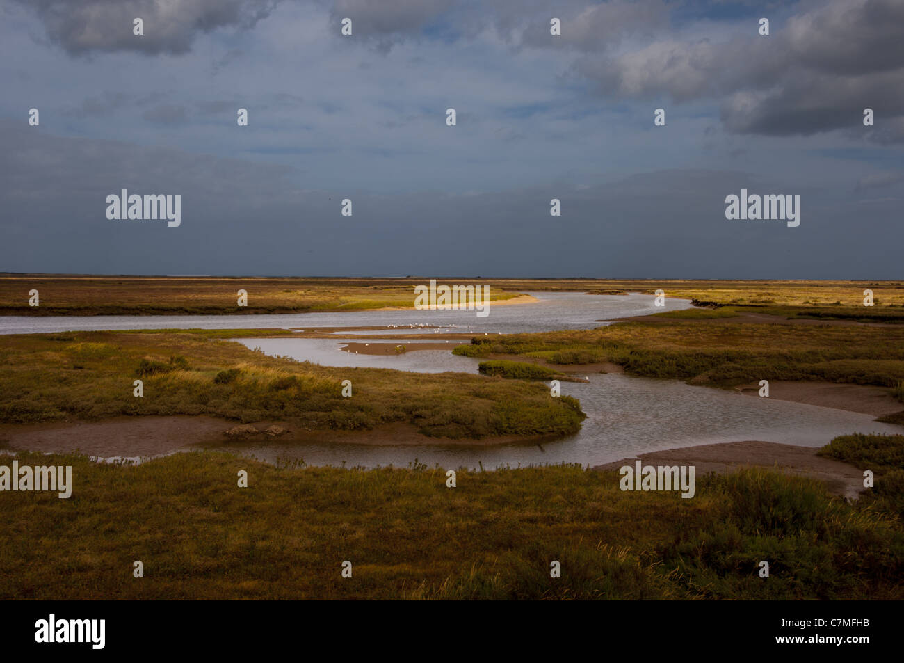 Creek and salt marsh North Norfolk Stock Photo - Alamy