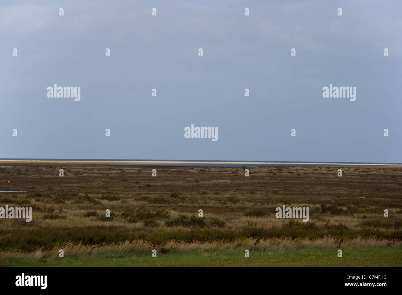 coastal Salt marsh with beach in distance Stock Photo - Alamy