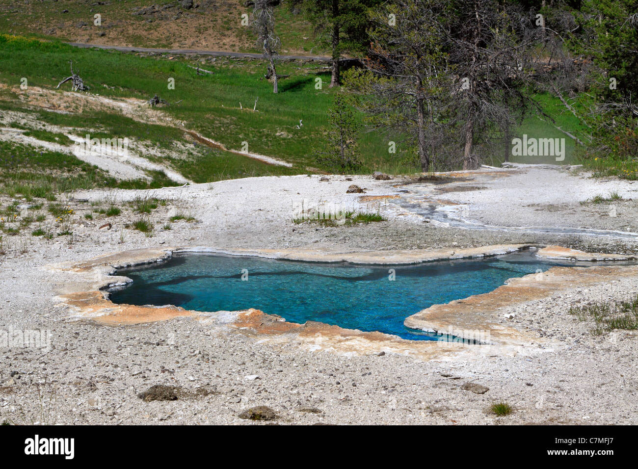 Yellowstone thermal spring hi-res stock photography and images - Alamy