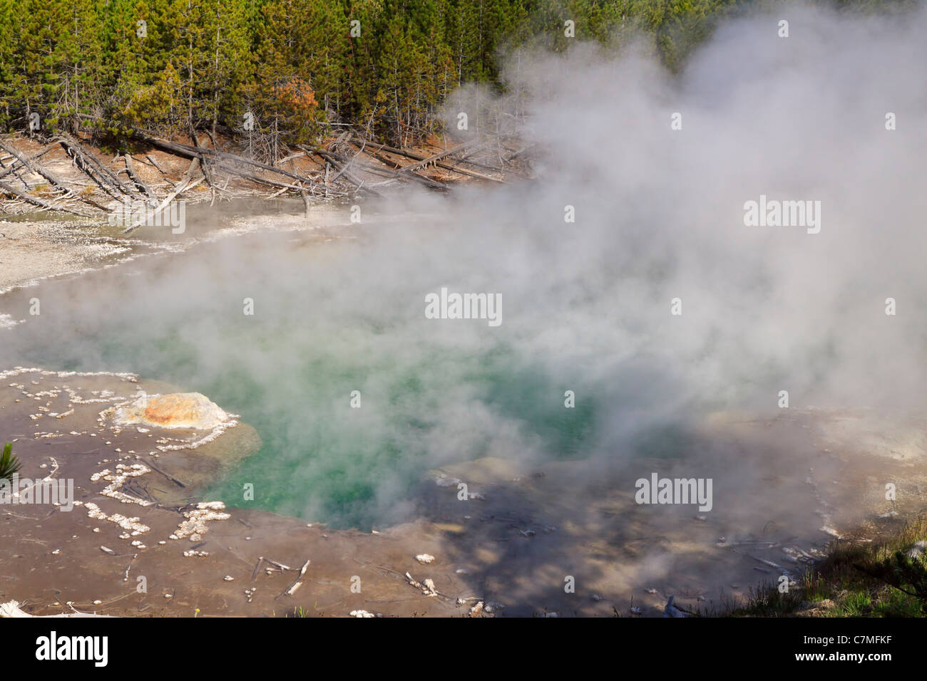 Steam rises from Emerald Spring in Norris Geyser Basin, Yellowstone ...
