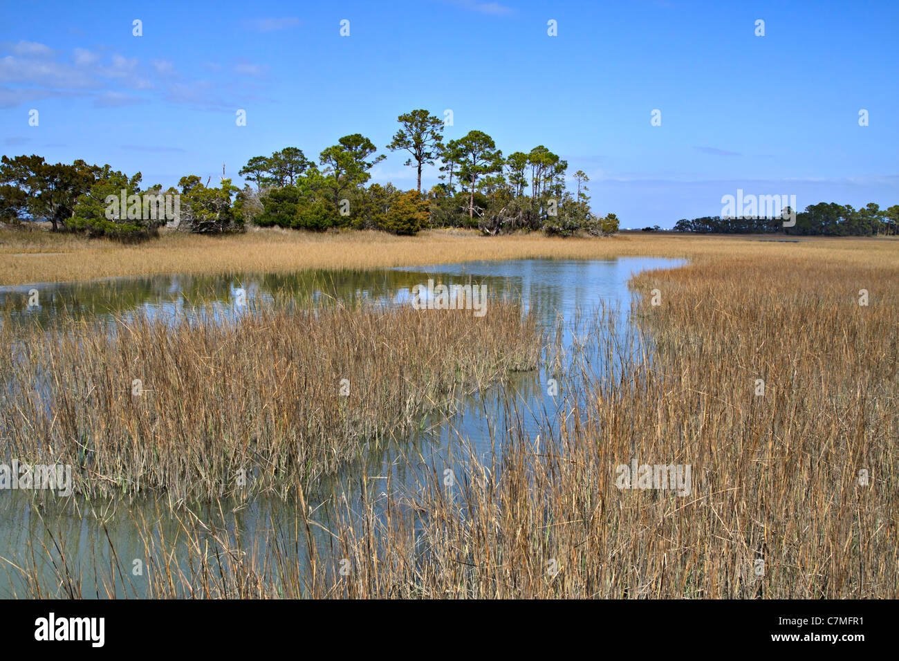 Salt marsh us High Resolution Stock Photography and Images - Alamy