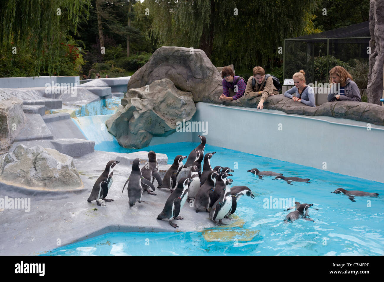 Zoo exhibit design hi-res stock photography and images - Alamy