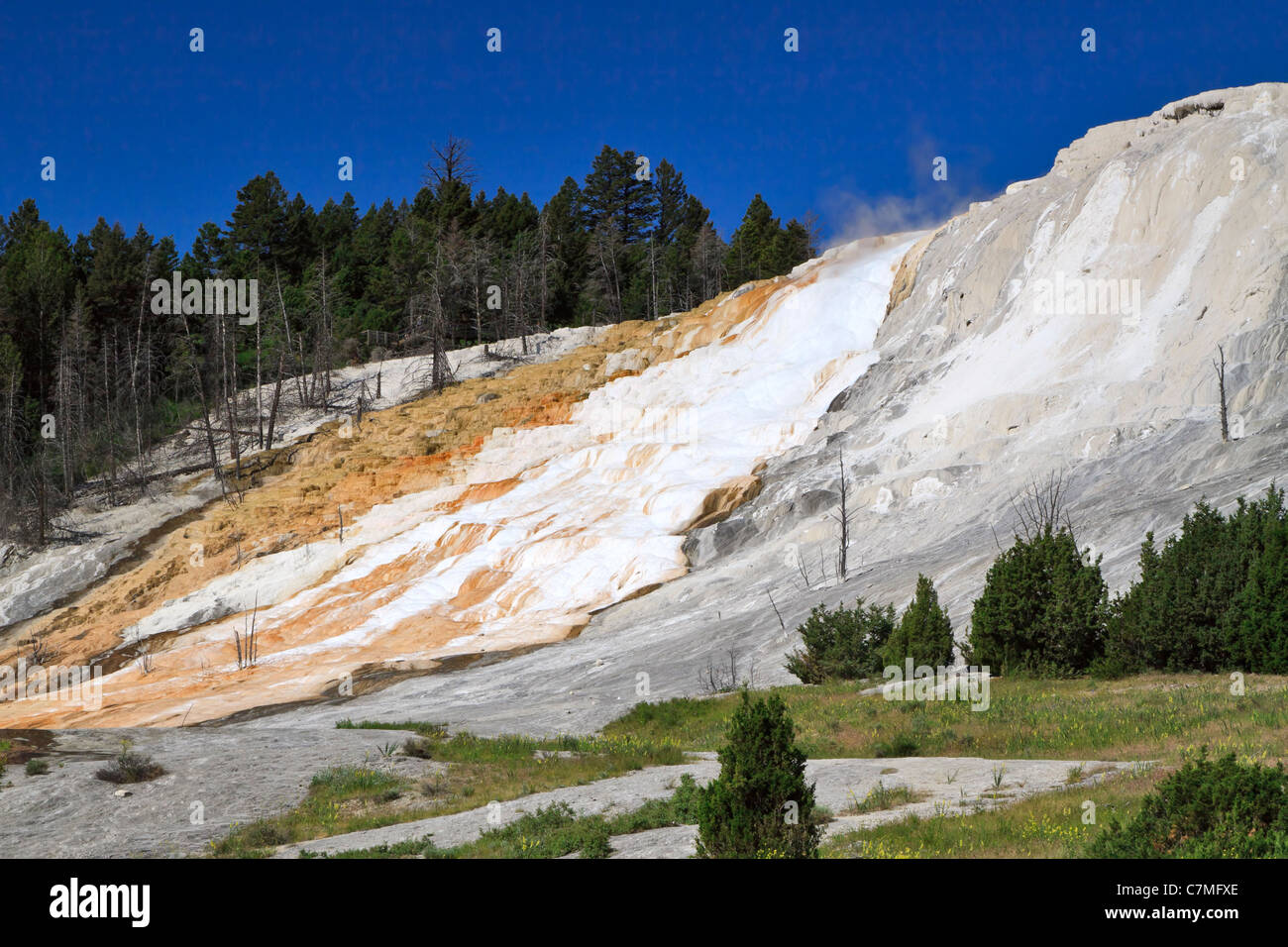 Morris mammoth fault hi-res stock photography and images - Alamy Morris mammoth fault hi-res stock photography and images - Alamy