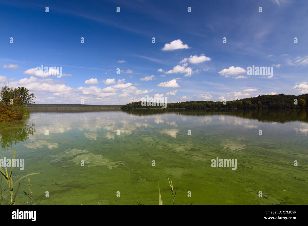 Beautiful lake scenery blue sky hi-res stock photography and images - Alamy