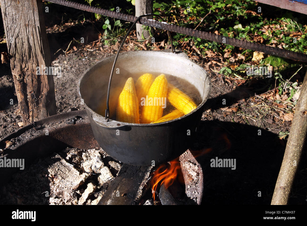 Boiling cauldron hi-res stock photography and images - Alamy