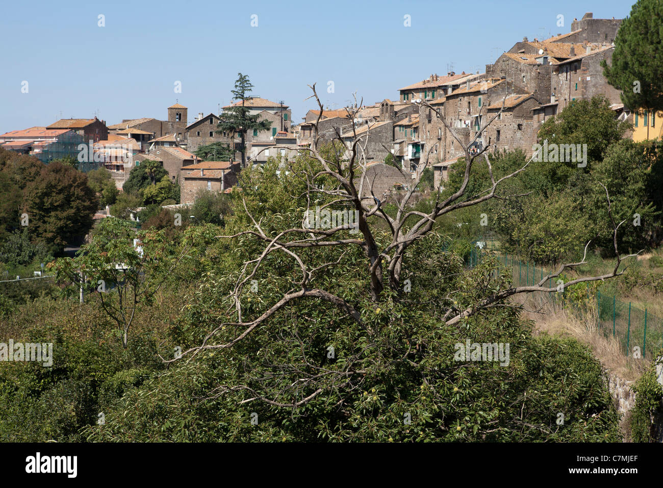 Vetralla Italy High Resolution Stock Photography and Images - Alamy
