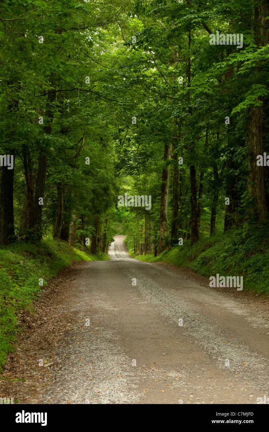 Gravel path drive hi-res stock photography and images - Alamy