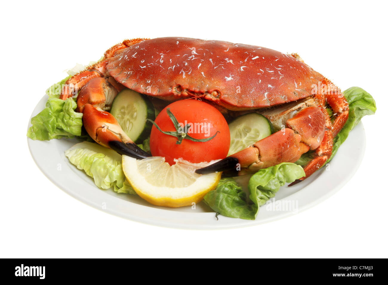 Whole cooked crab hi-res stock photography and images - Alamy