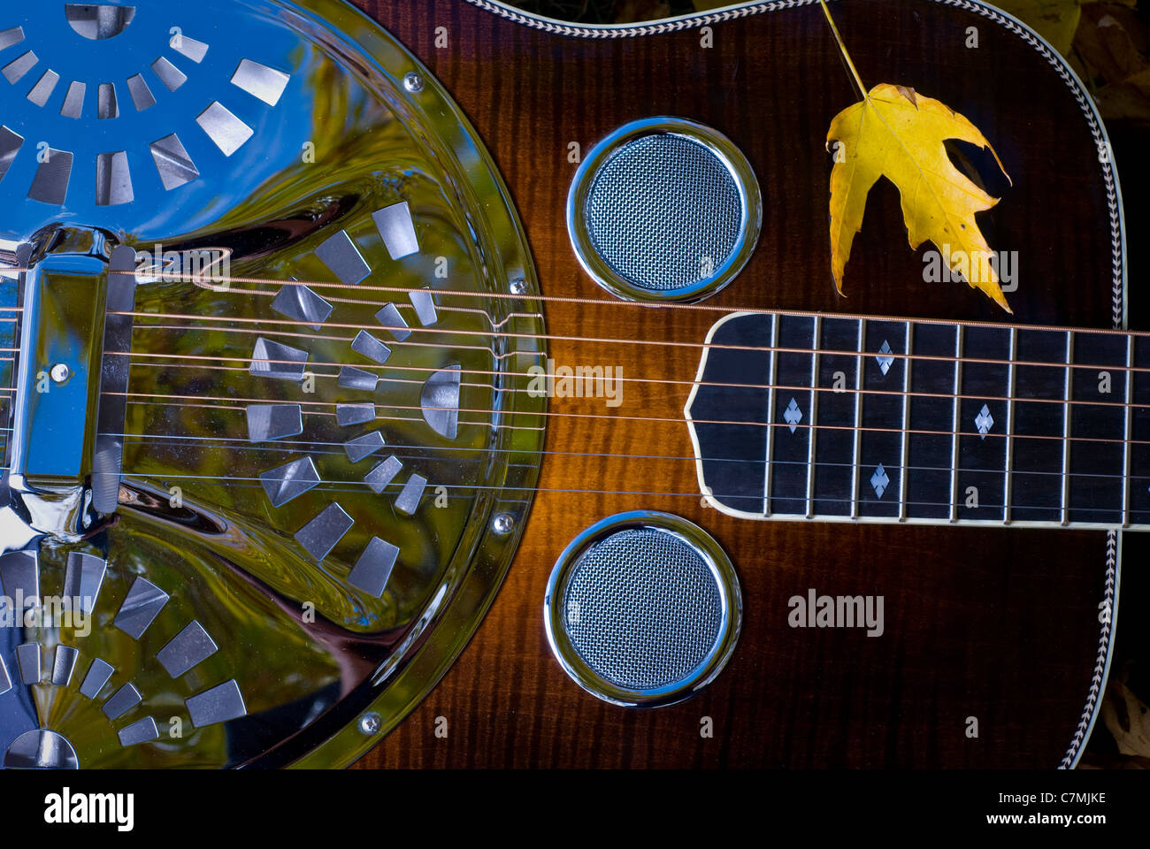 This Classic Clinesmith Dobro Guitar has a yellow leaf on it Stock ...