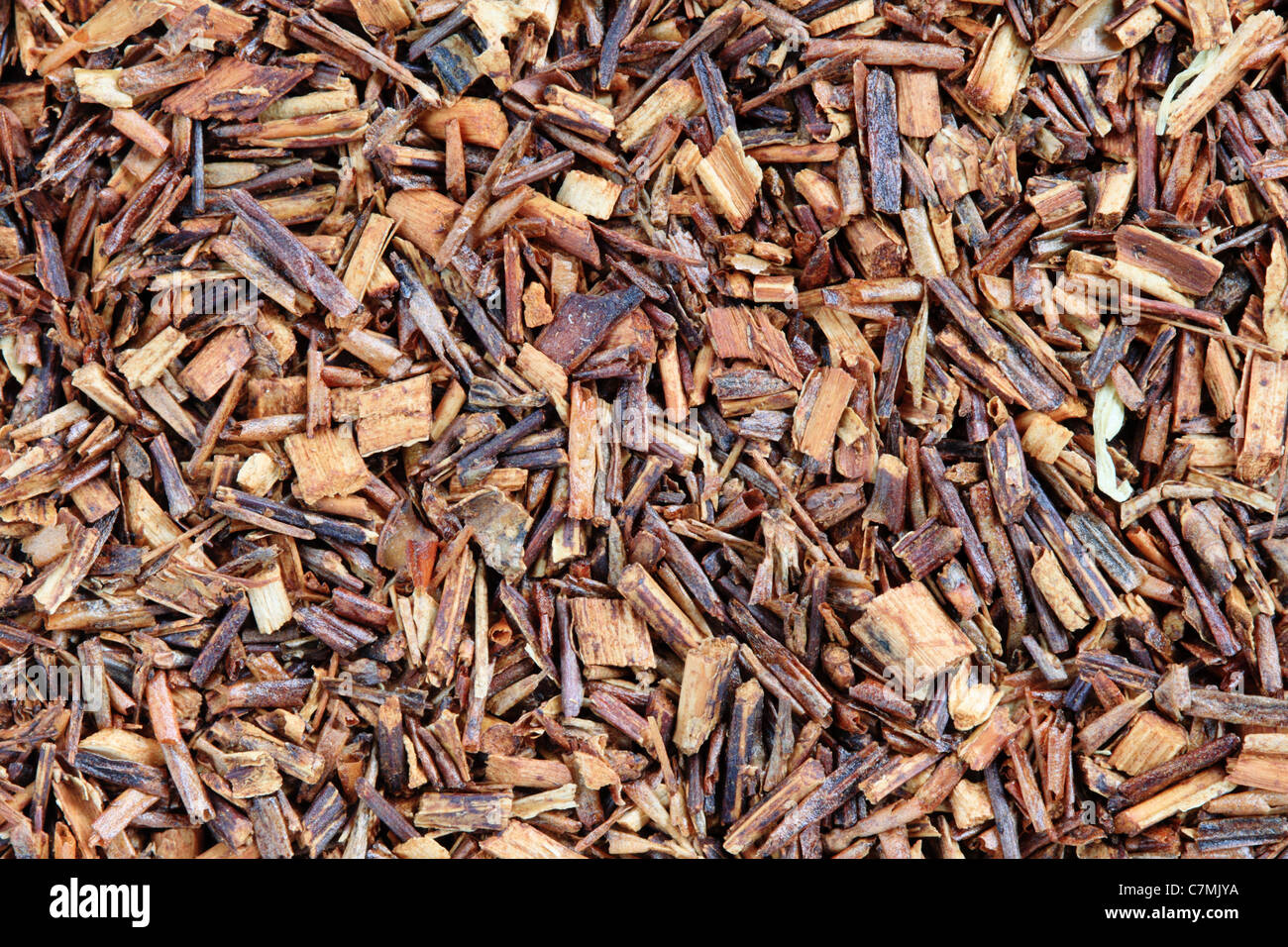 Rooibos bush hi-res stock photography and images - Alamy