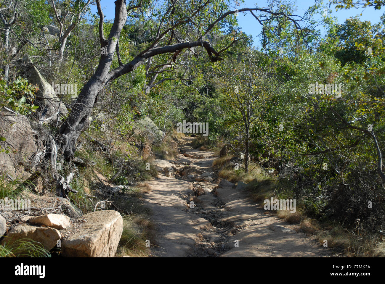 The Forts Walk, Magnetic Island, Queensland, Australia Stock Photo - Alamy