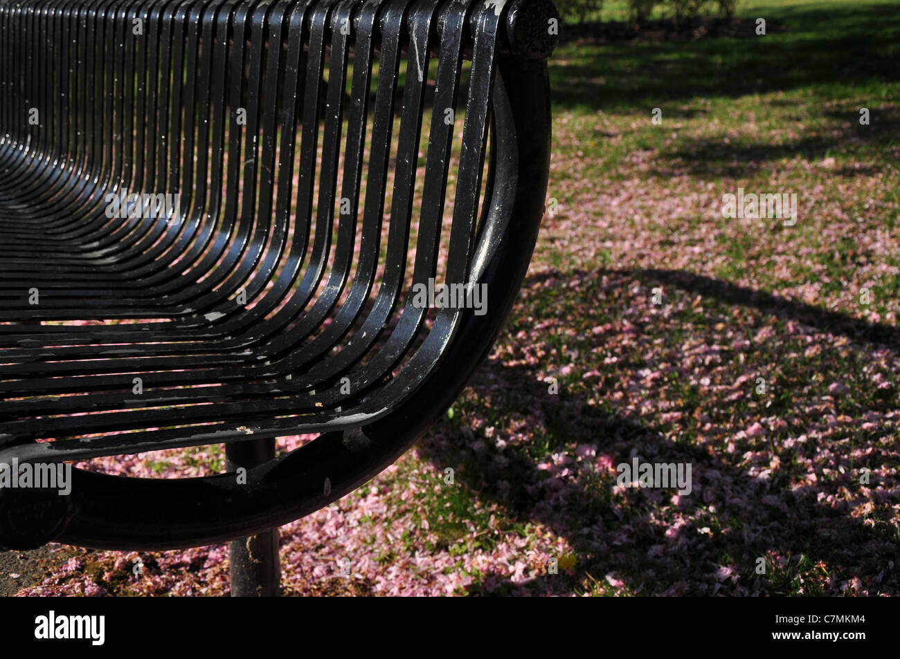 Bench ends hi-res stock photography and images - Alamy