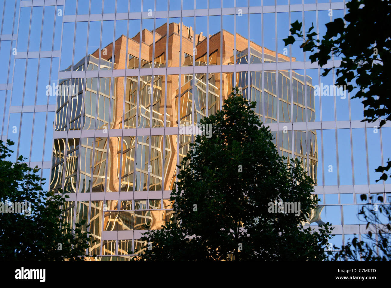 Distorted reflection in glass building hi-res stock photography and ...