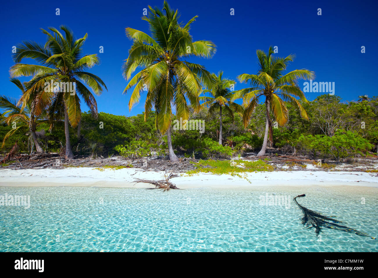 Lee Stocking Island Beach, Exumas, the Bahamas, Caribbean Stock Photo ...