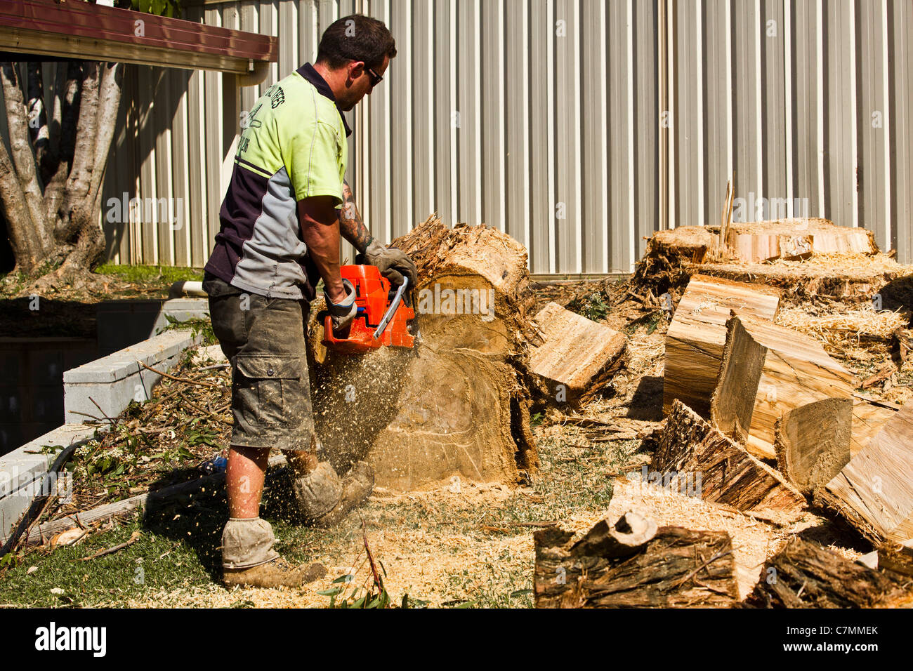 Tree trunk cutting hi-res stock photography and images - Alamy