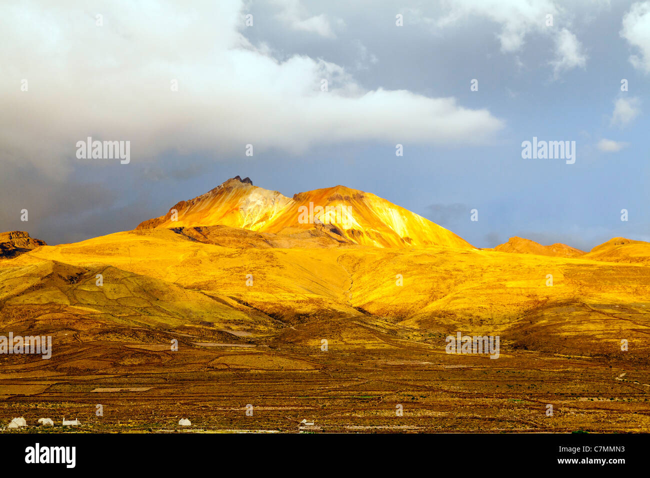 Tunupa volcano at sunset, Bolivia Stock Photo - Alamy