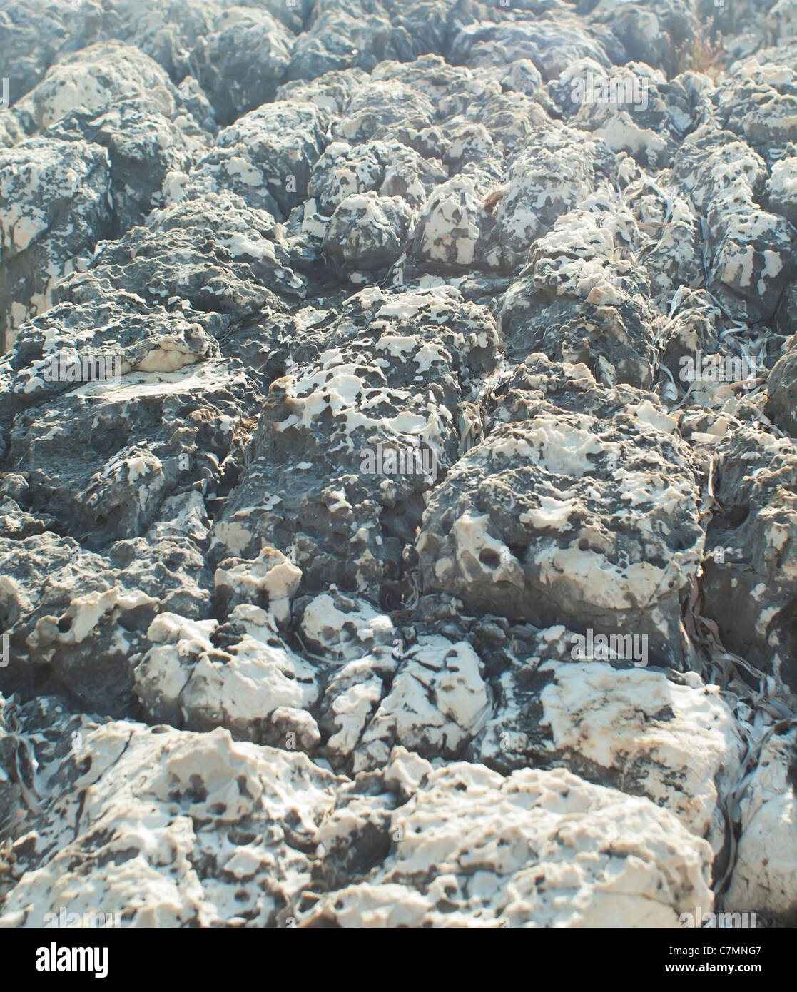 volcanic rock texture closeup Stock Photo - Alamy