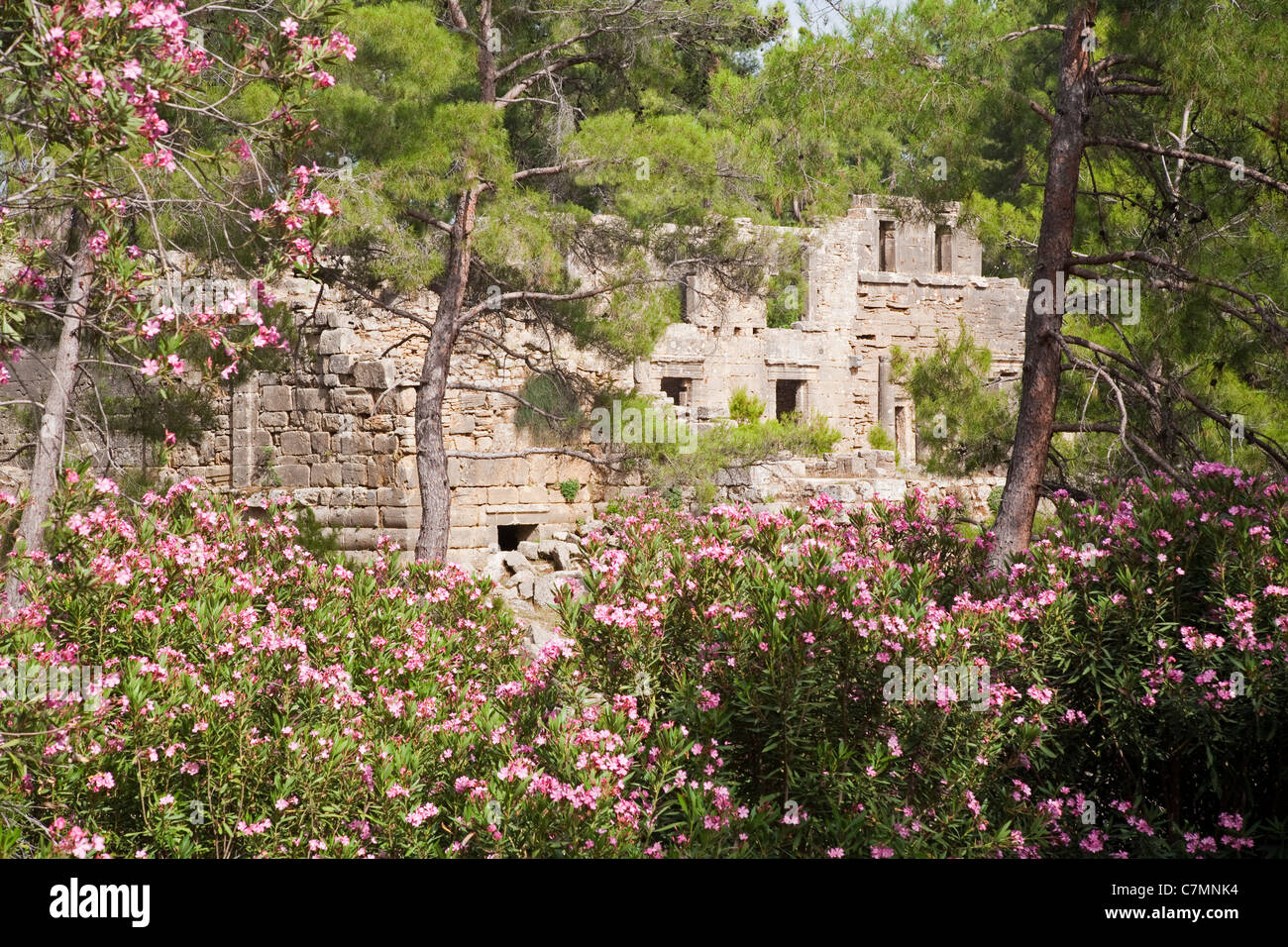 Selge ancient city Antalya Turkey Stock Photo - Alamy