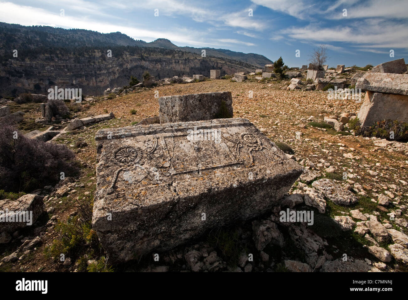 Isauria hi-res stock photography and images - Alamy