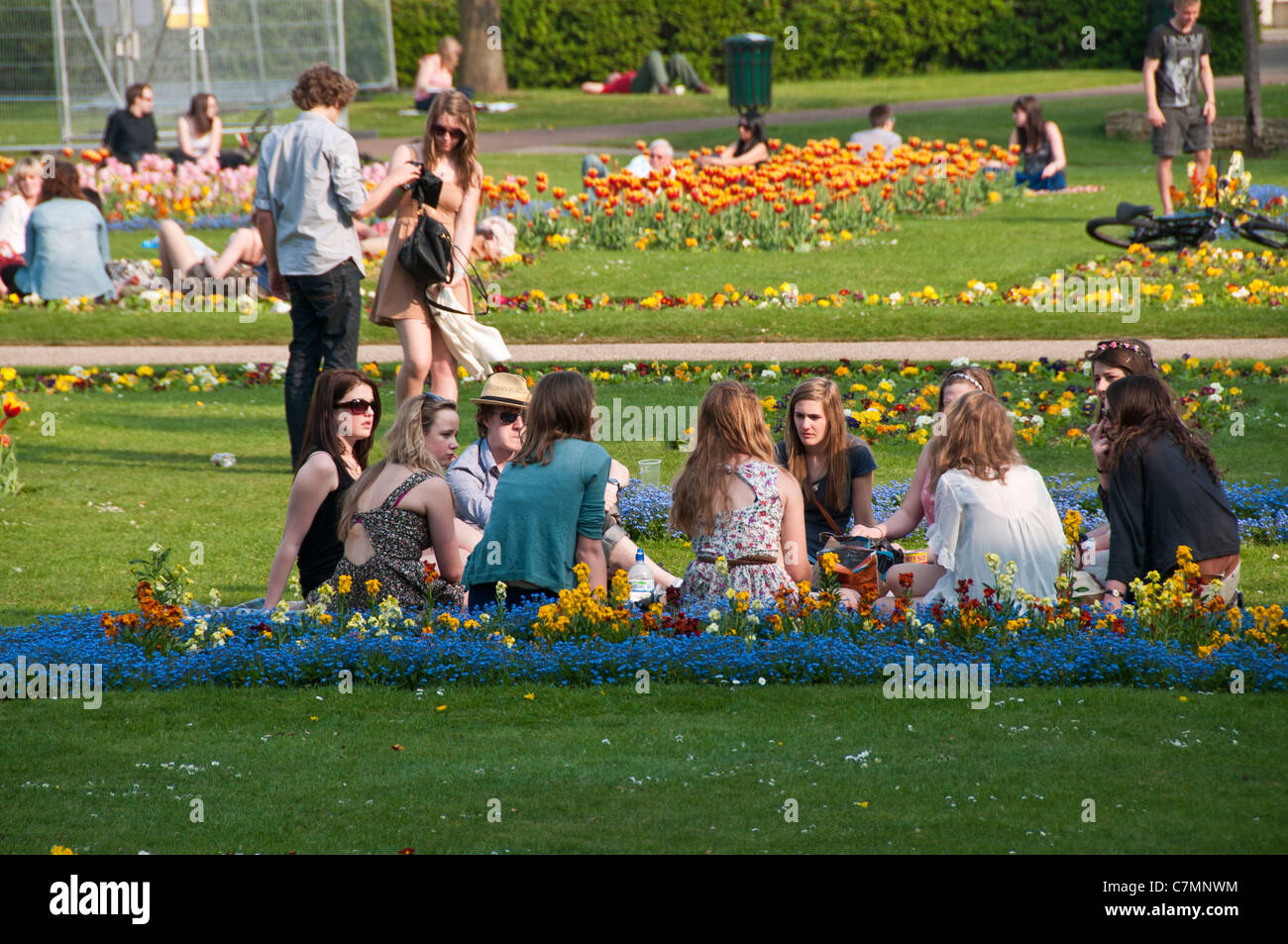Young people enjoying spring flowers and the sun in spring, Imperial ...