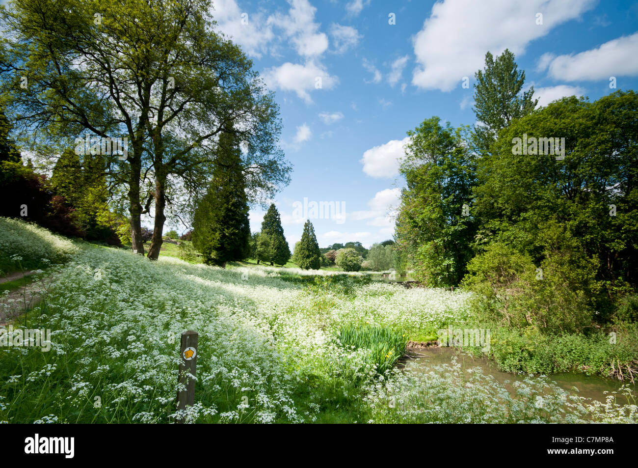 Late spring in Brimpsfield, Gloucestershire, Cotswolds, UK Stock Photo ...